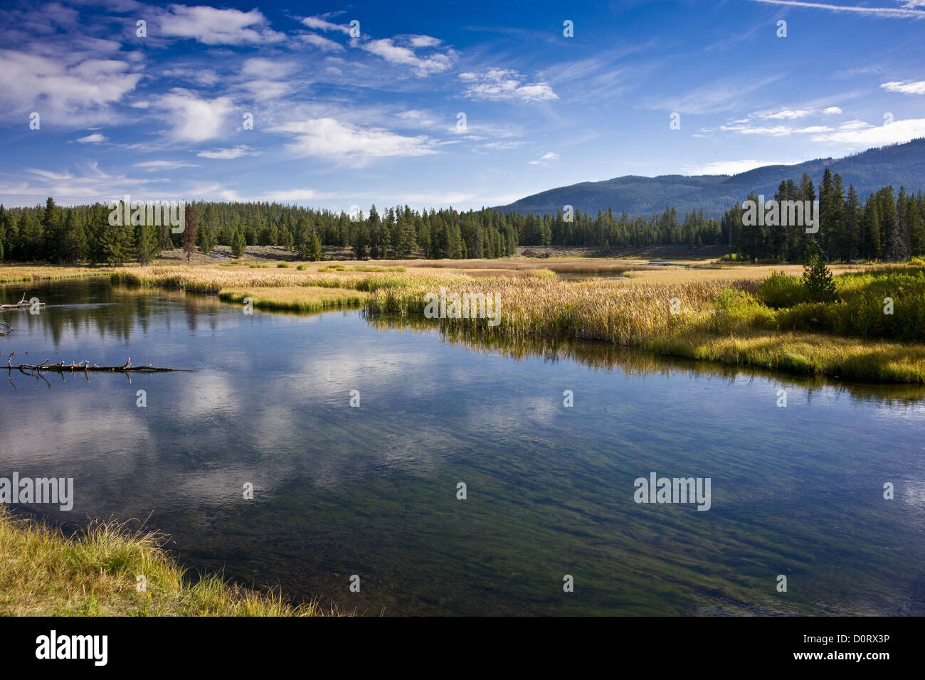 Pole Cat Creek Stock Photo - Alamy