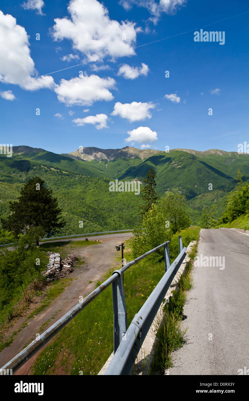 Good street trees in countryside hi-res stock photography and images ...