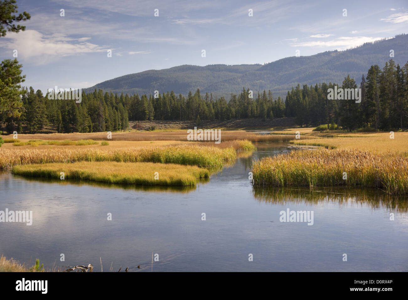 Pole Cat Creek Stock Photo - Alamy