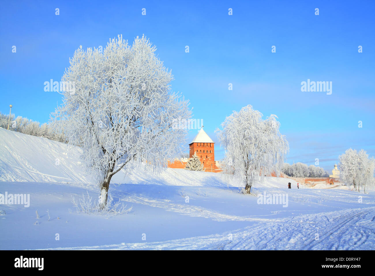 tree in snow Stock Photo - Alamy