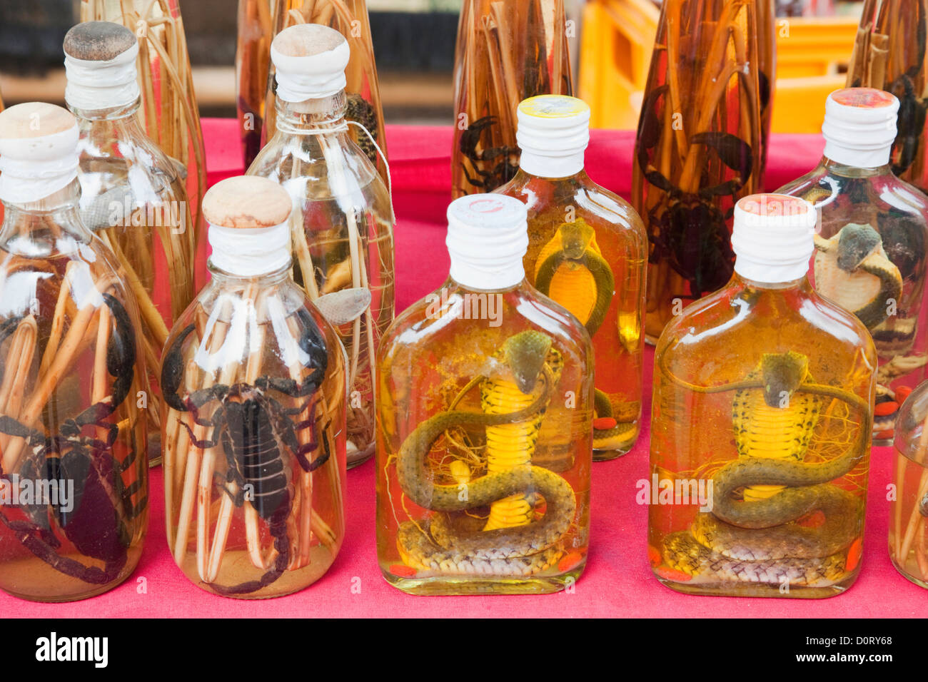 Asia, Laos, Luang Prabang, Ban Xang Hai, Whiskey, Alcohol, Reptiles ...
