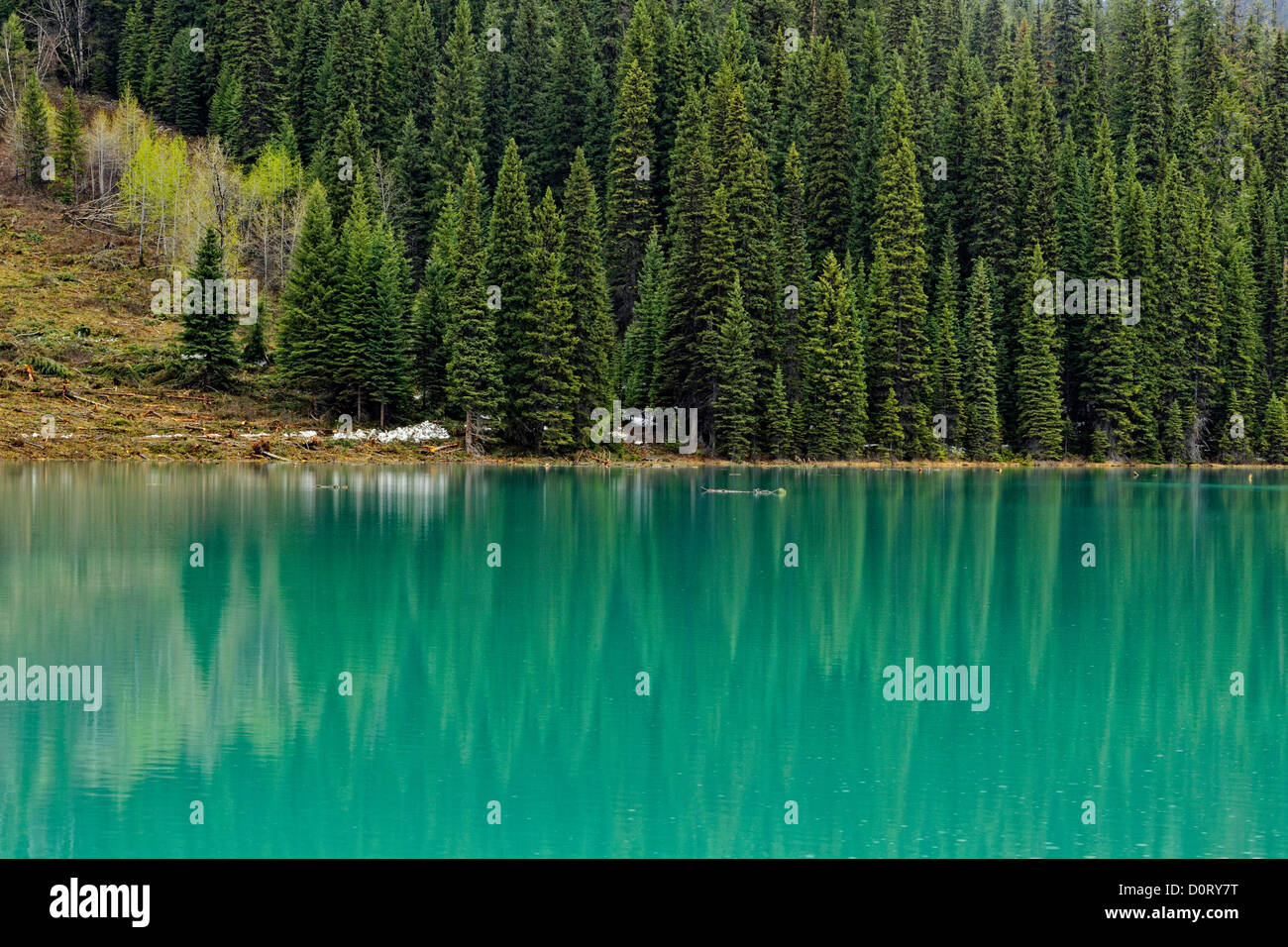 Reflections in Emerald Lake shortly after spring break-up, Yoho NP, BC ...