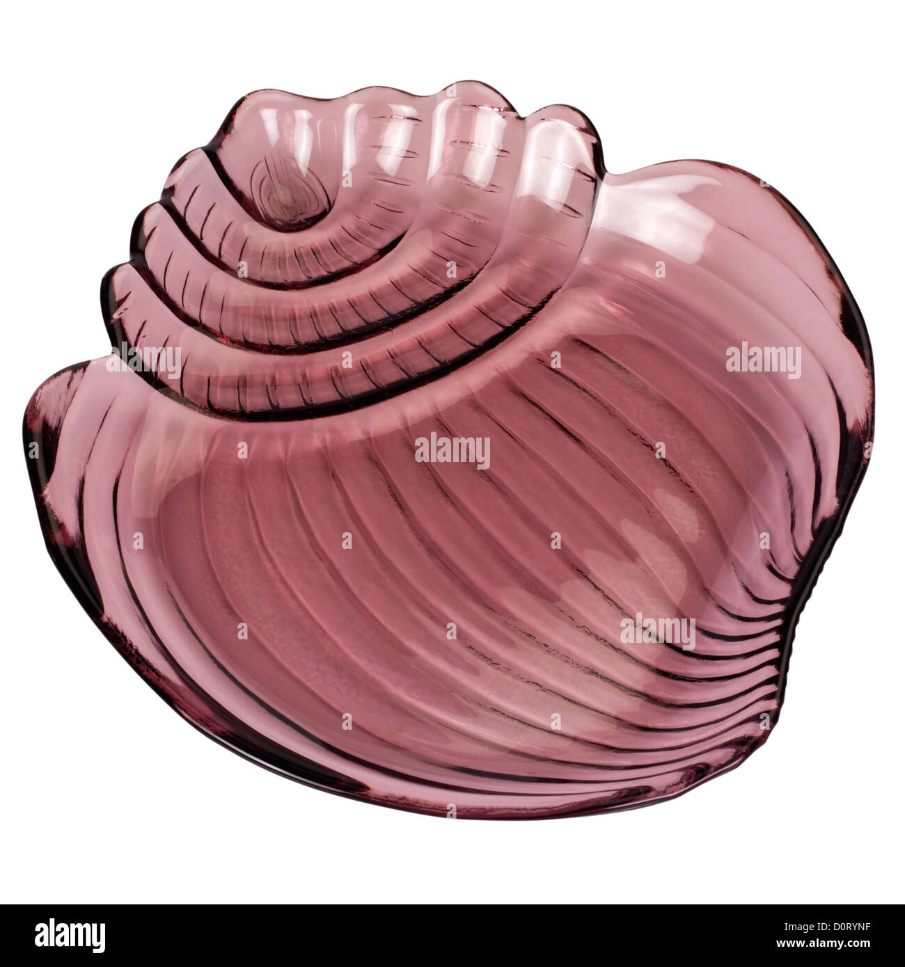 Close-up of a shell shaped tray Stock Photo - Alamy