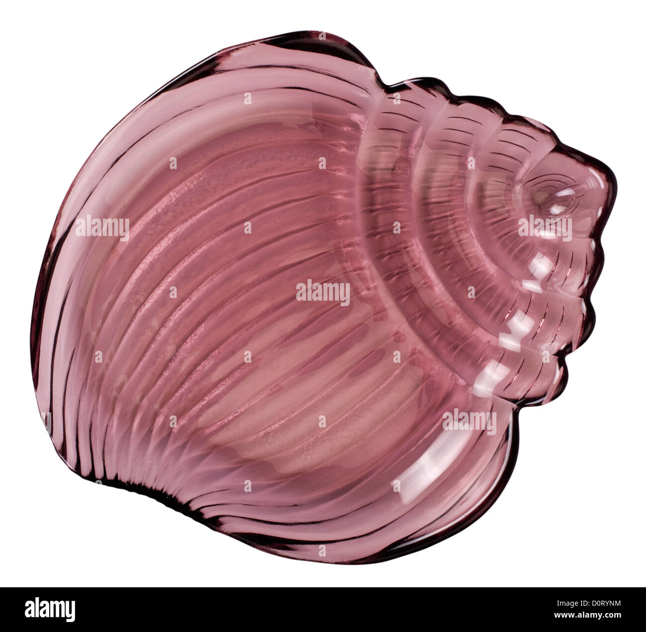 Close-up of a shell shaped tray Stock Photo - Alamy