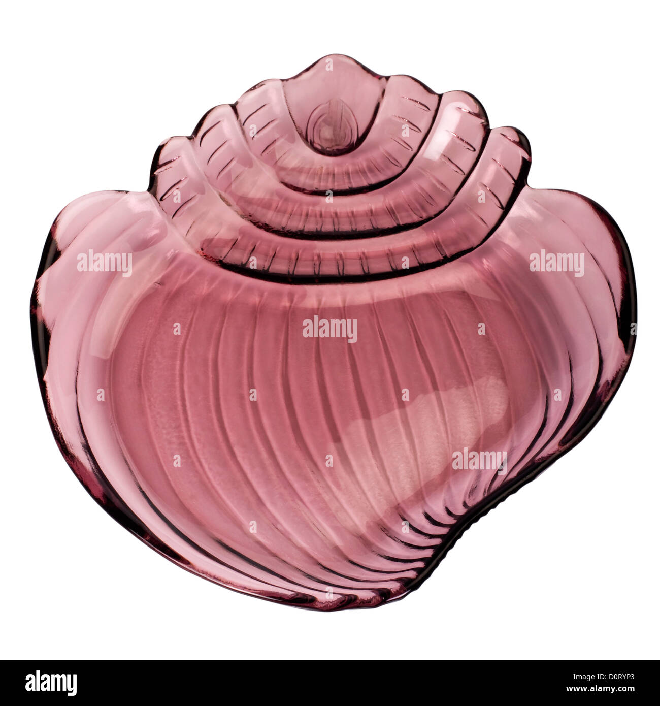 Close-up of a shell shaped tray Stock Photo - Alamy