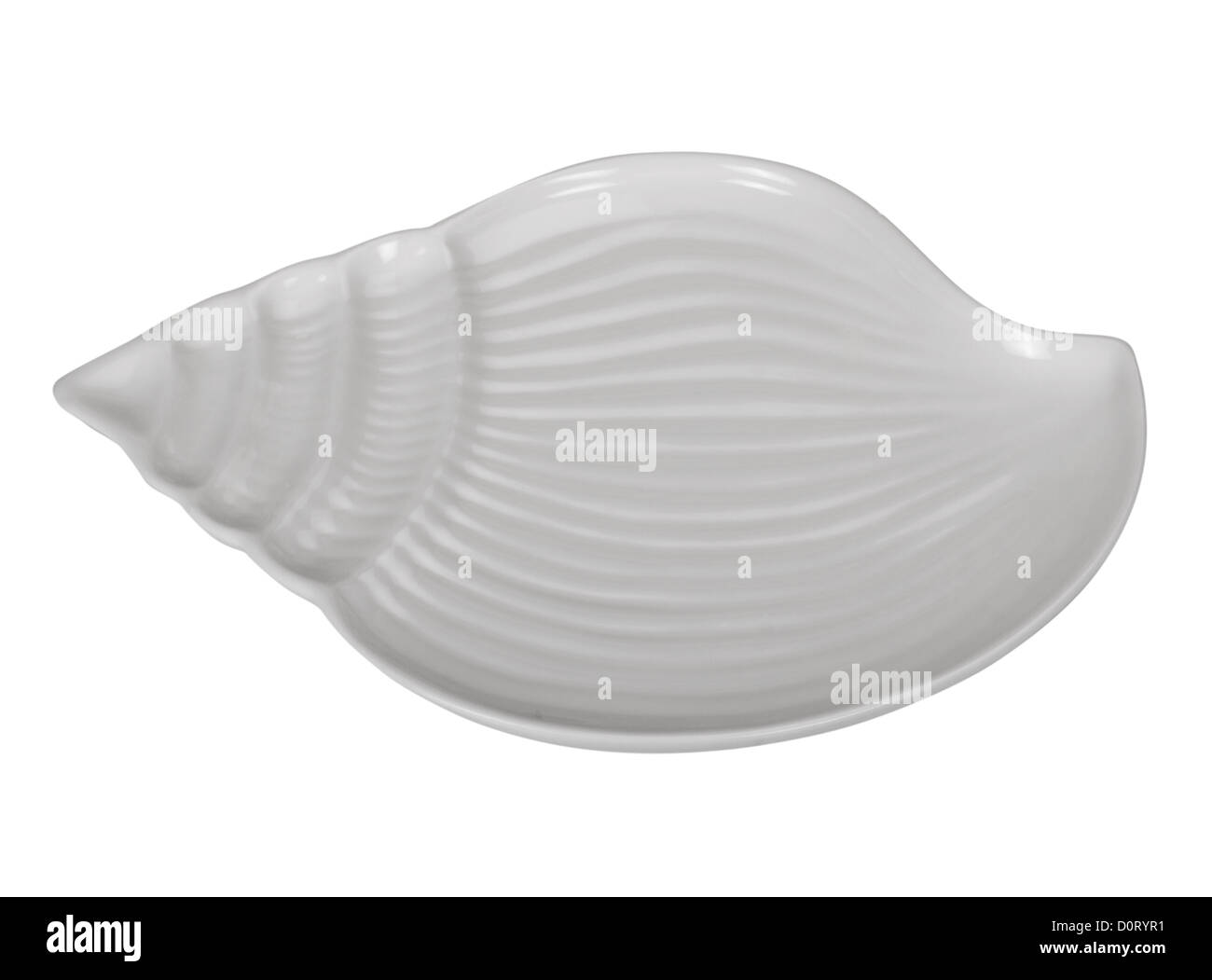 Empty shell horizontal Cut Out Stock Images & Pictures - Alamy