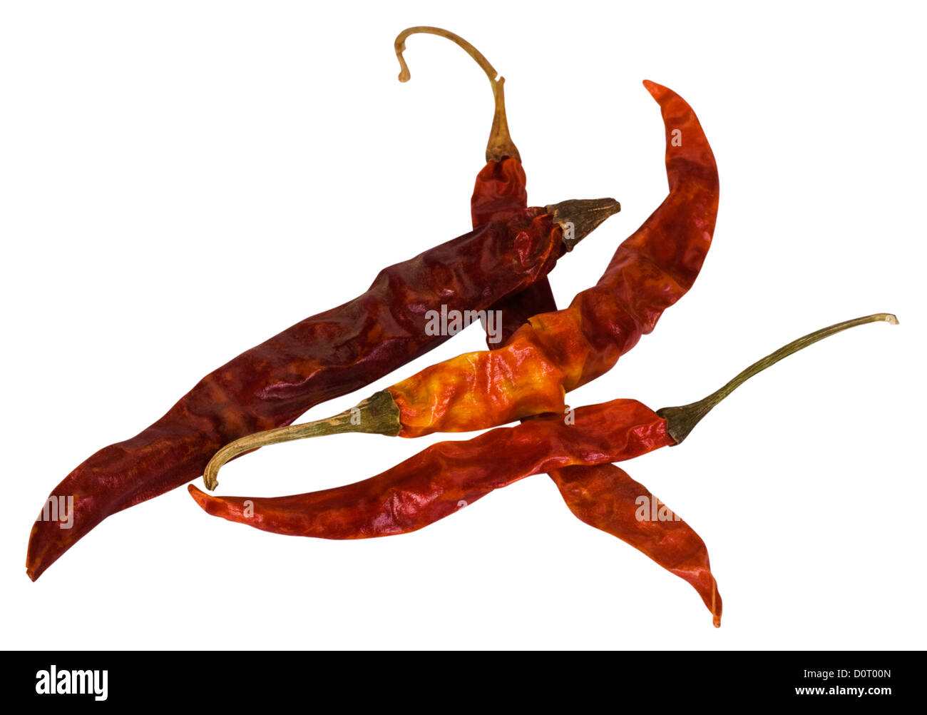 Close up hot peppers Cut Out Stock Images & Pictures - Alamy