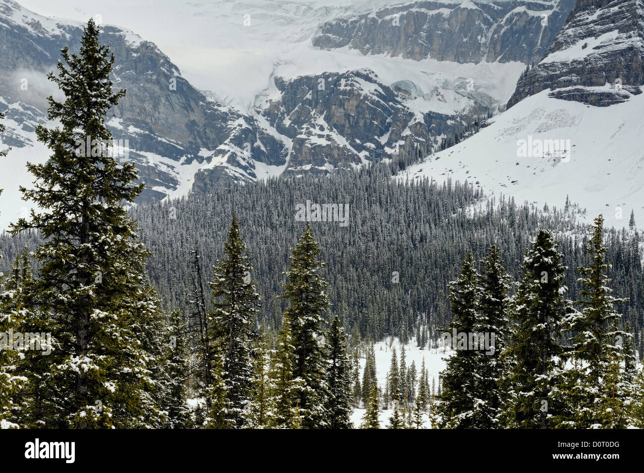 Crowfoot Glacier, Banff National Park, Alberta, Canada Stock Photo - Alamy