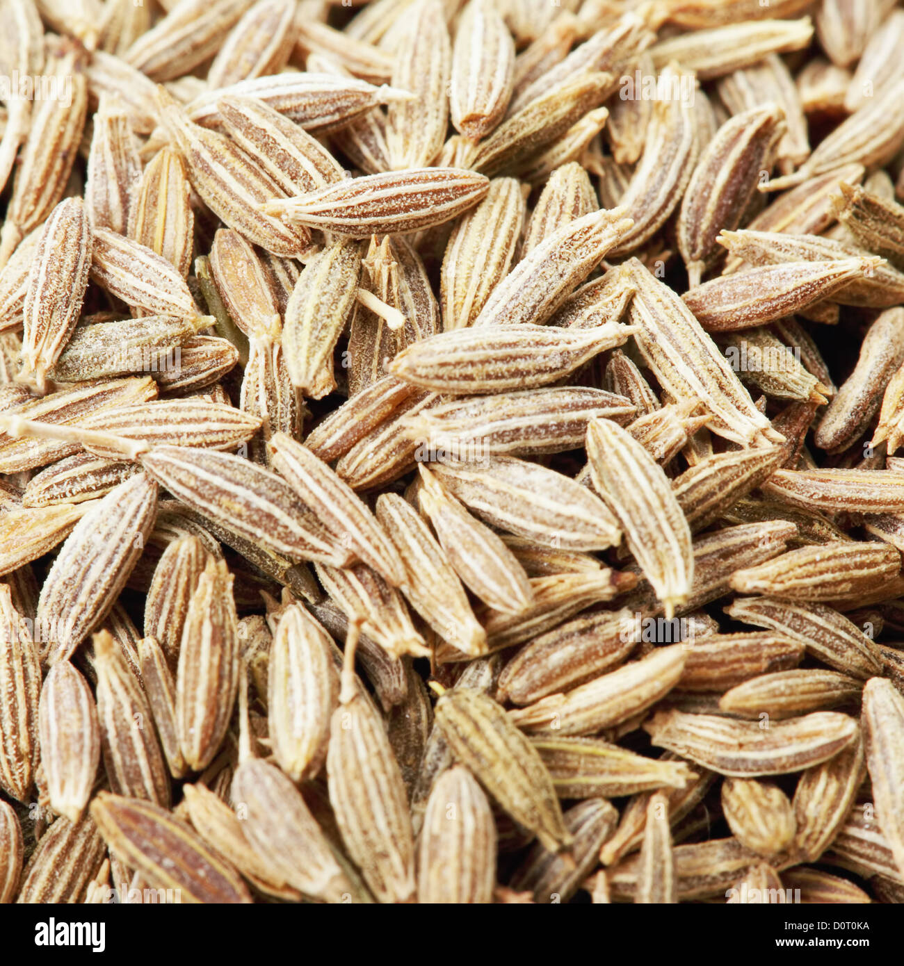 Spice seeds hi-res stock photography and images - Alamy