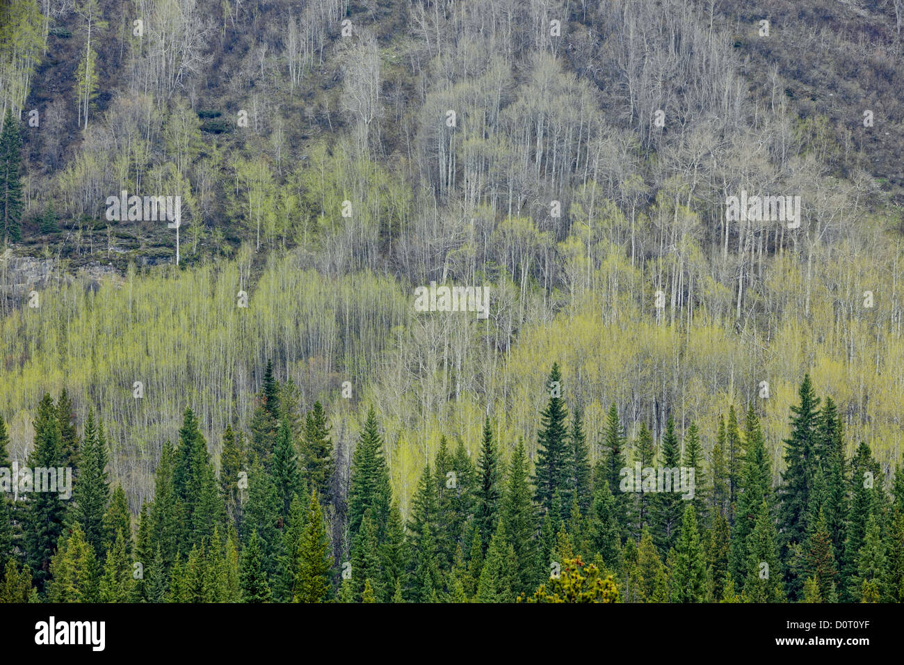 Spring valley saskatchewan hi-res stock photography and images - Alamy
