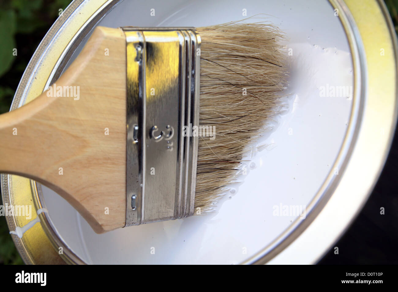 Brush support hi-res stock photography and images - Alamy