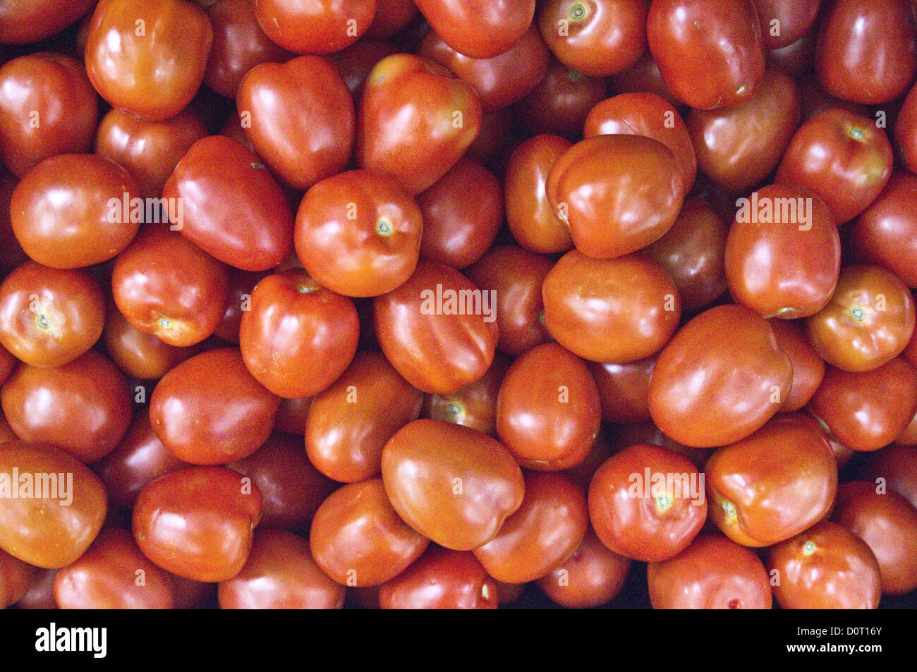 Roma tomatoes hi-res stock photography and images - Alamy