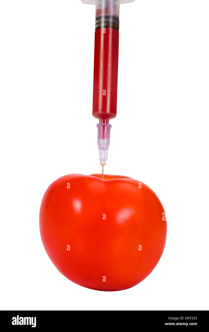 Tomato being injected with a syringe Stock Photo - Alamy