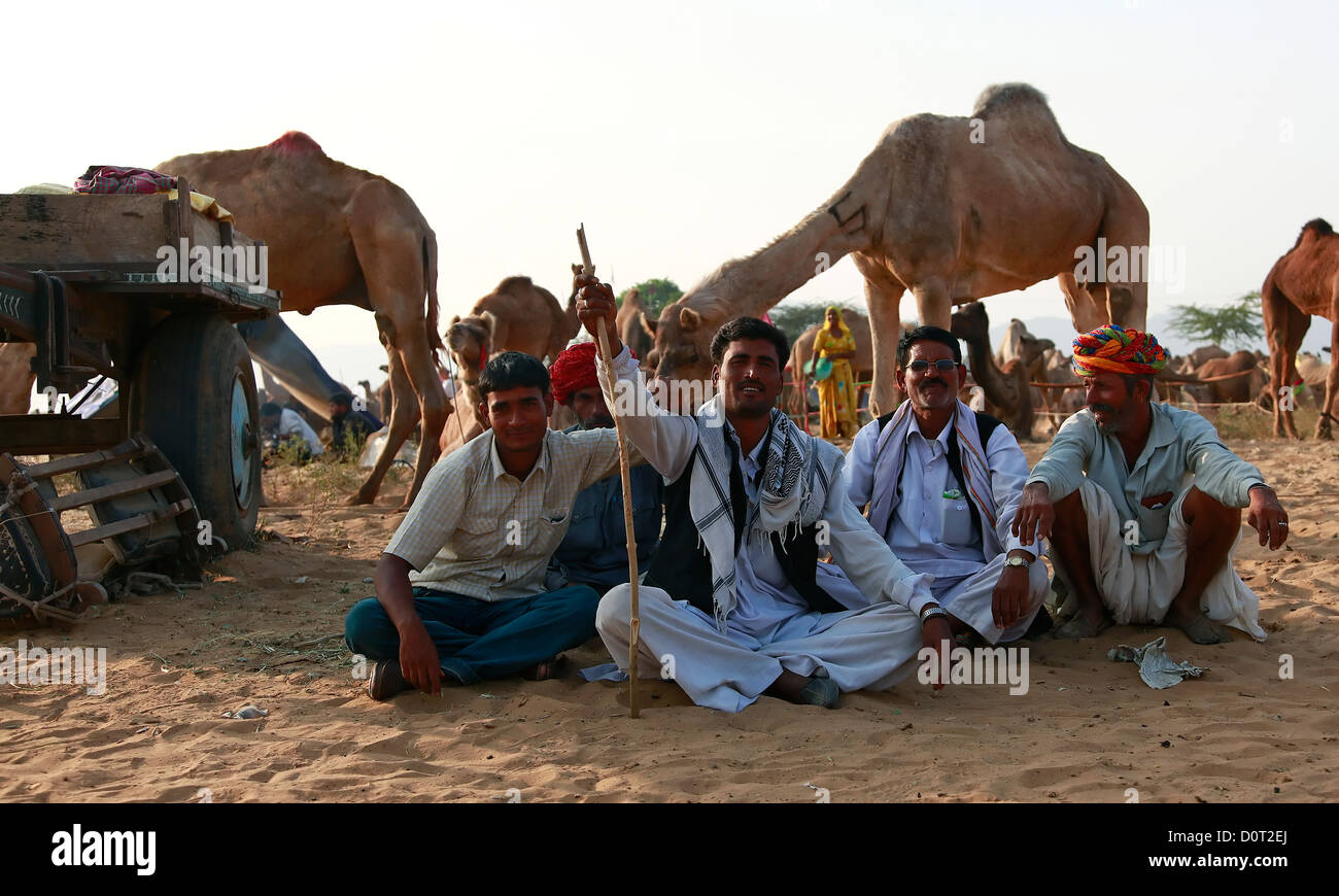 pushkar fair,Cattle fair,Herder,Camel,Animal,Pushkar festival ...