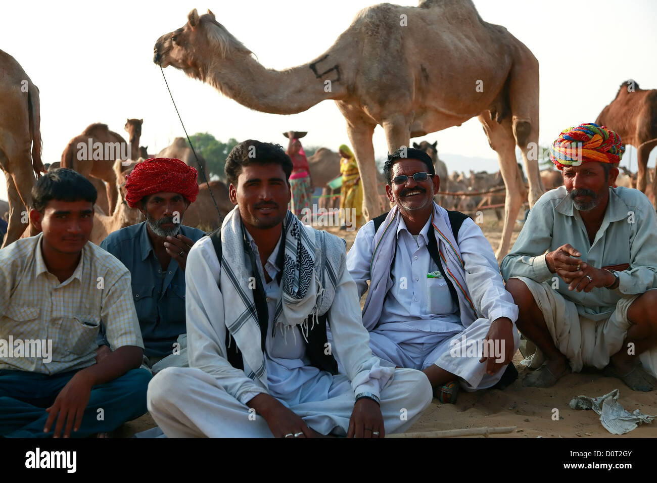 pushkar fair,Cattle fair,Herder,Camel,Animal,Pushkar festival ...