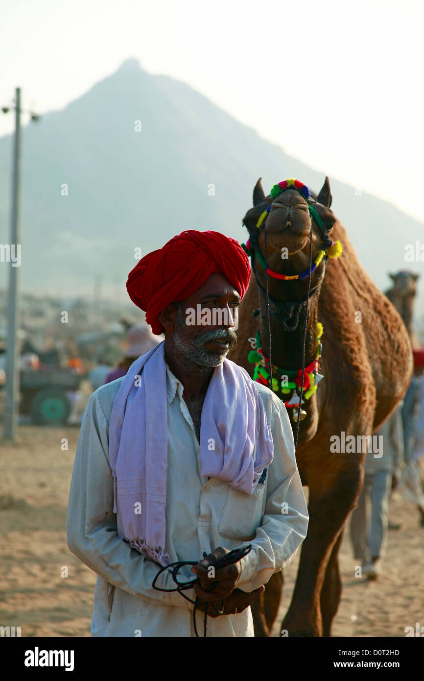 pushkar fair,Cattle fair,Herder,Camel,Animal,Pushkar festival ...