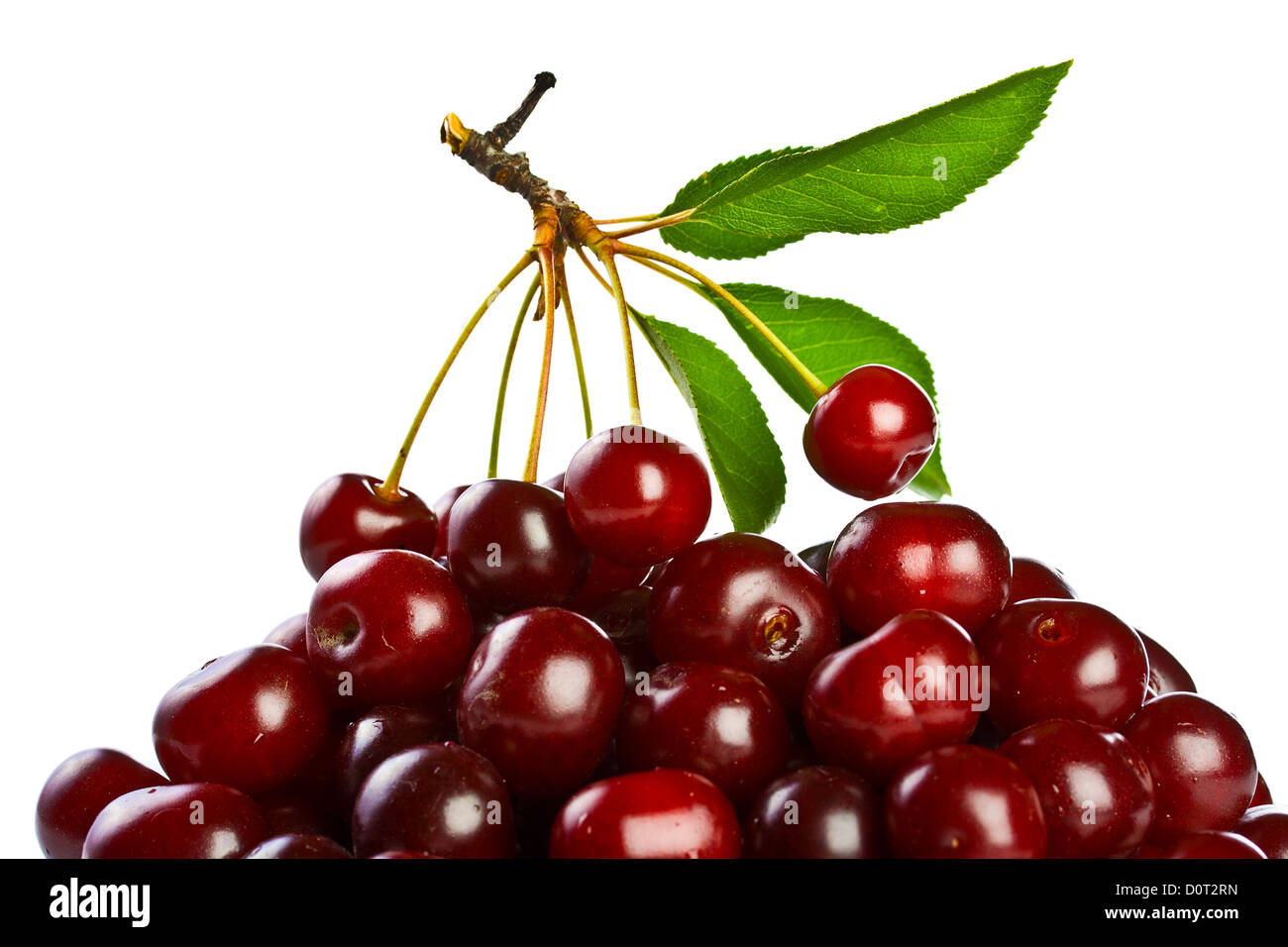 Fresh red juicy cherries Cut Out Stock Images & Pictures - Alamy