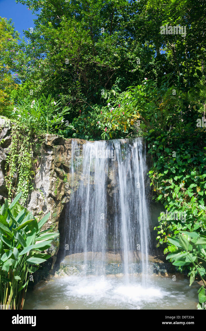 Singapore botanic garden waterfall hi-res stock photography and images ...