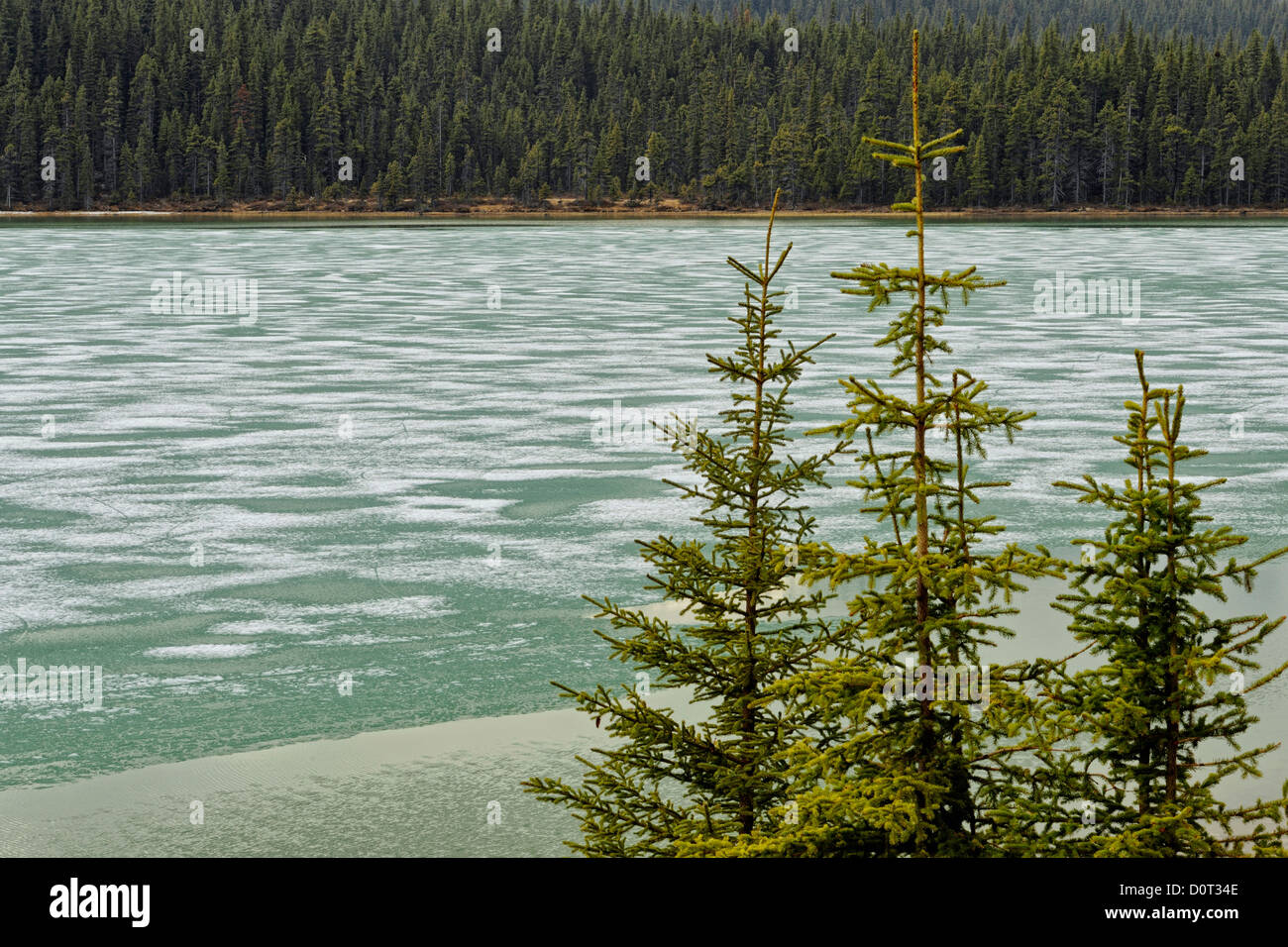 Lower Waterfowl Lake with melting ice, Banff National Park, Alberta ...