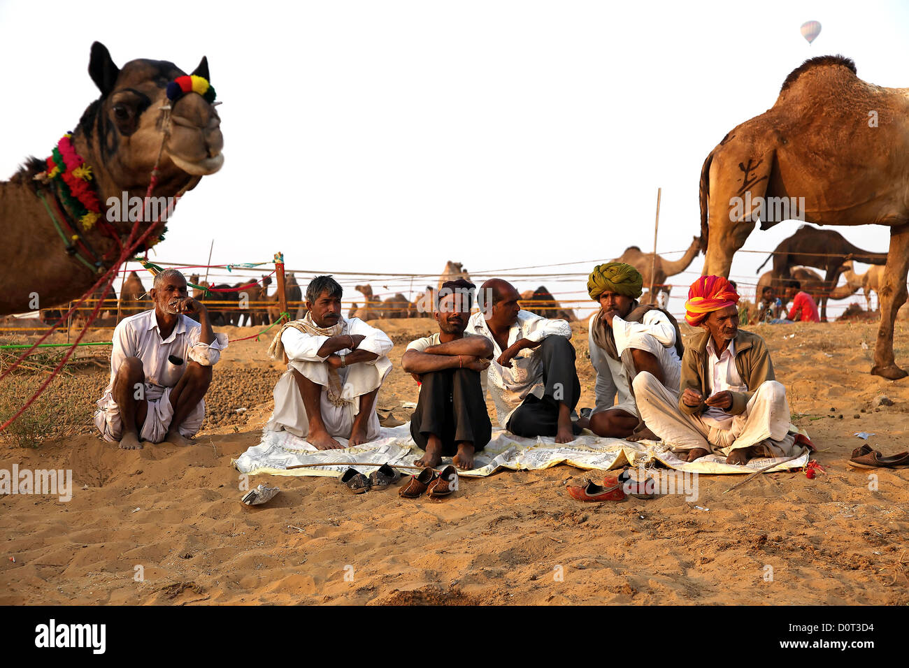 Cattle traders hi-res stock photography and images - Alamy