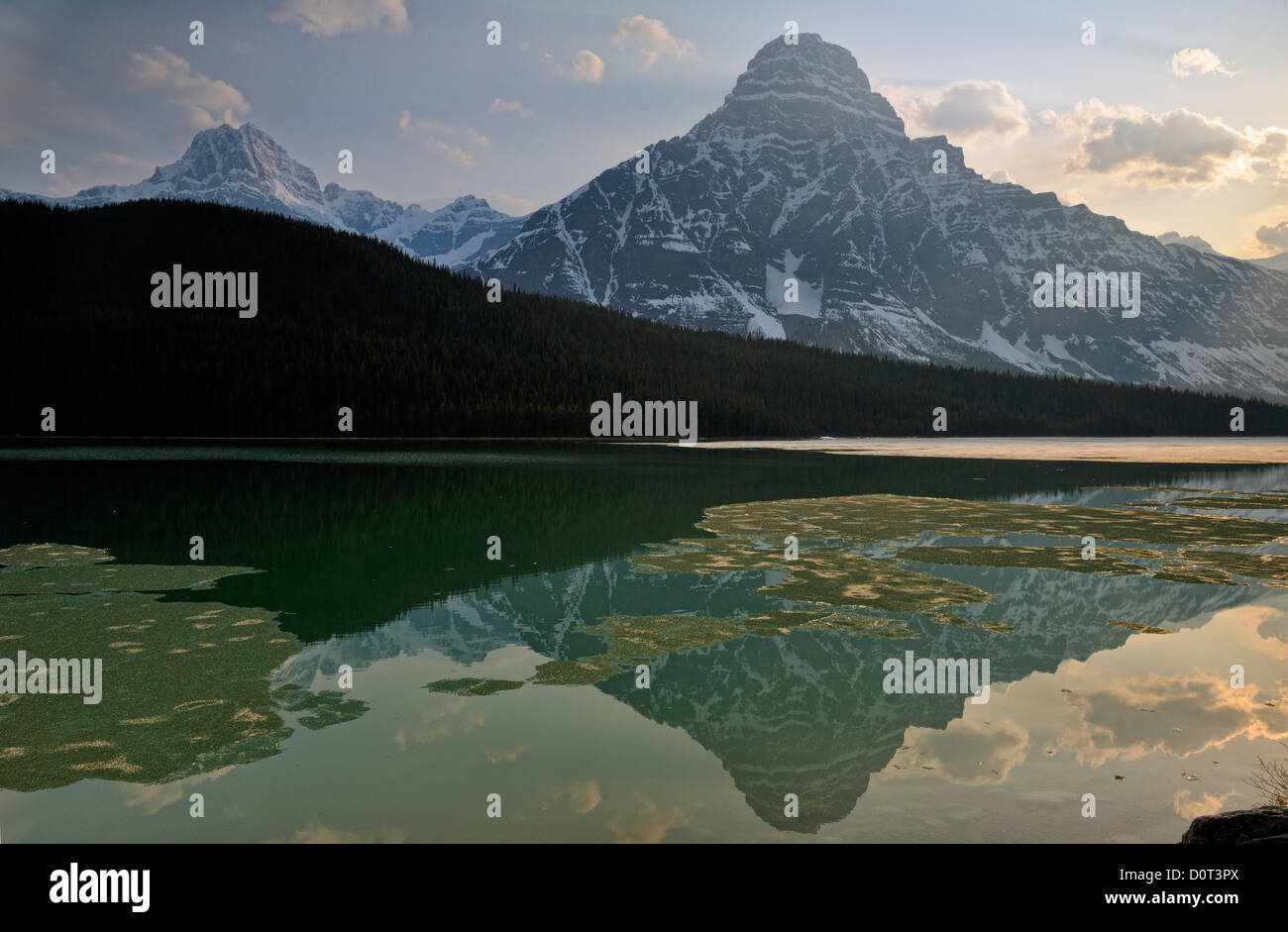 Lower Waterfowl Lake with melting ice and mountain (Mt. Chephren ...