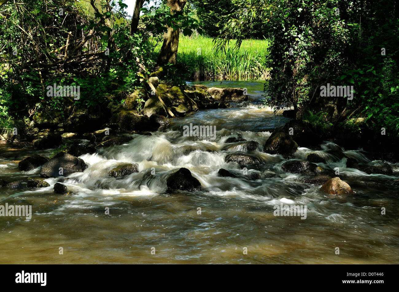 A river in the Norman countryside, in spring, river 'La Varenne', in ...