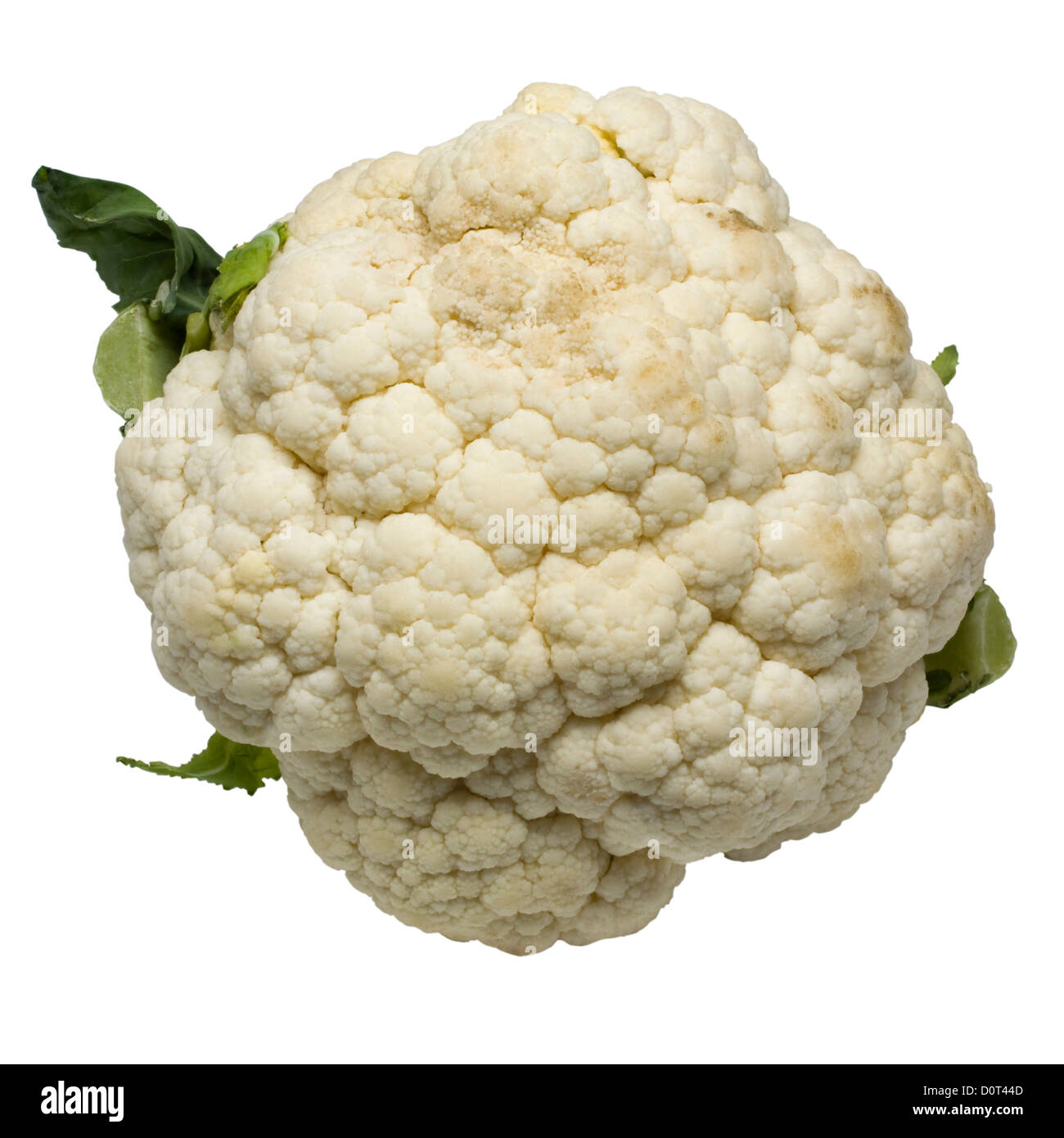 Close up cauliflower hi-res stock photography and images - Alamy