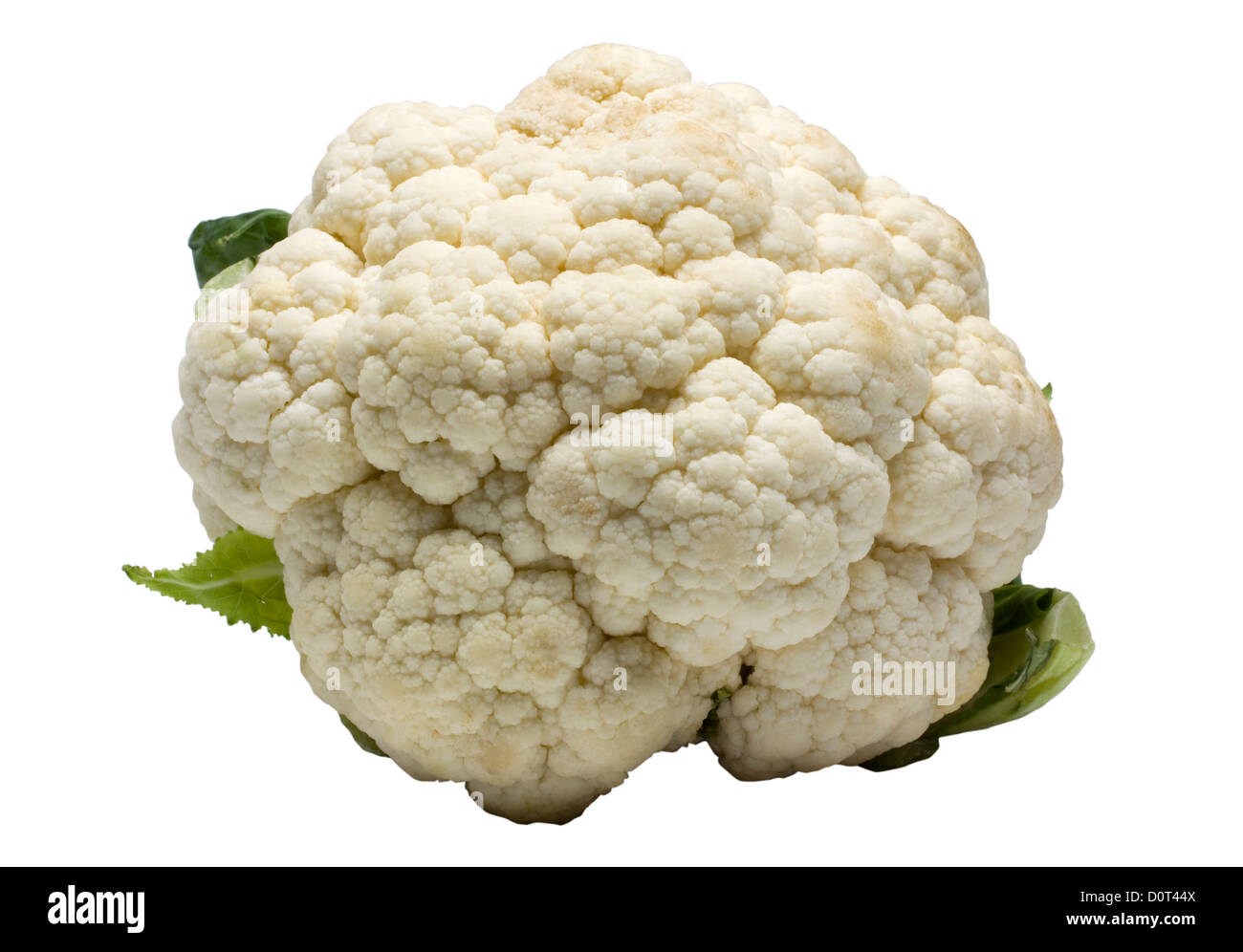 Close-up of a cauliflower Stock Photo - Alamy