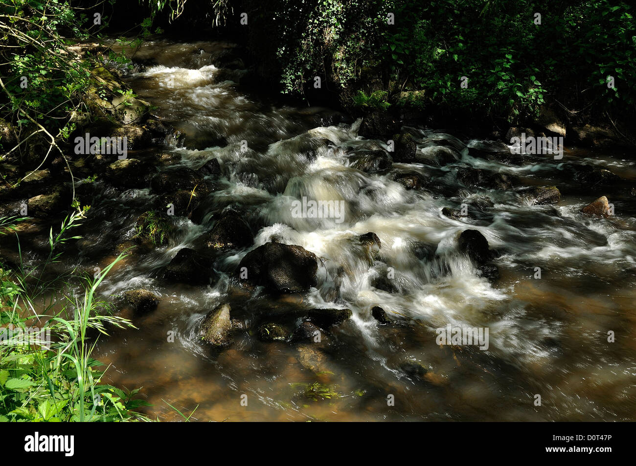 River countryside hi-res stock photography and images - Alamy