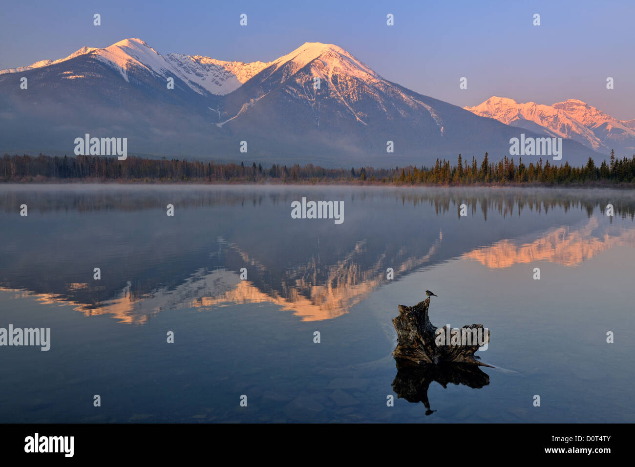 Sundance Range reflected in Third Vermilion Lake, Banff National Park ...