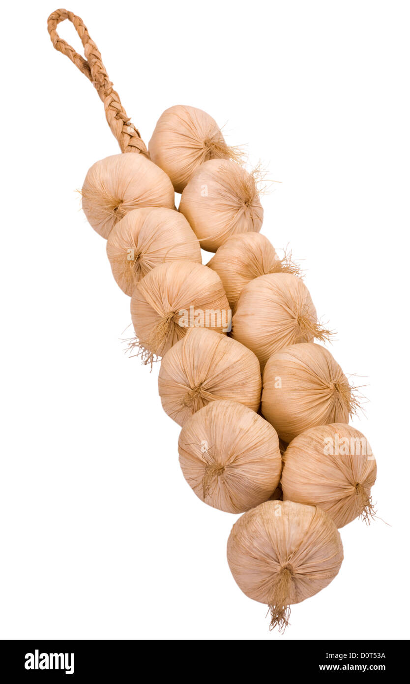 Close-up of a garlic string Stock Photo - Alamy