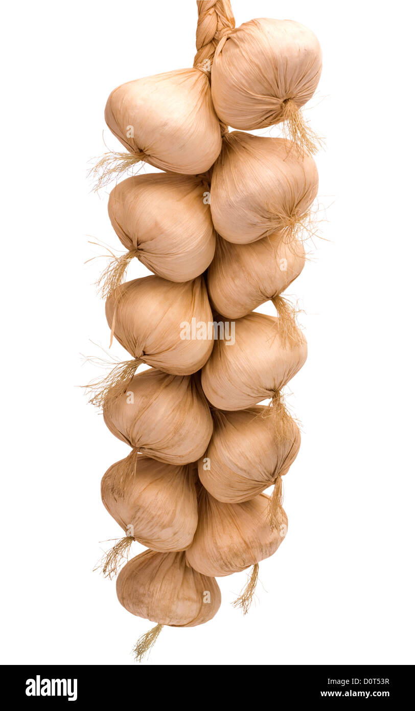 Close-up of a garlic string Stock Photo - Alamy