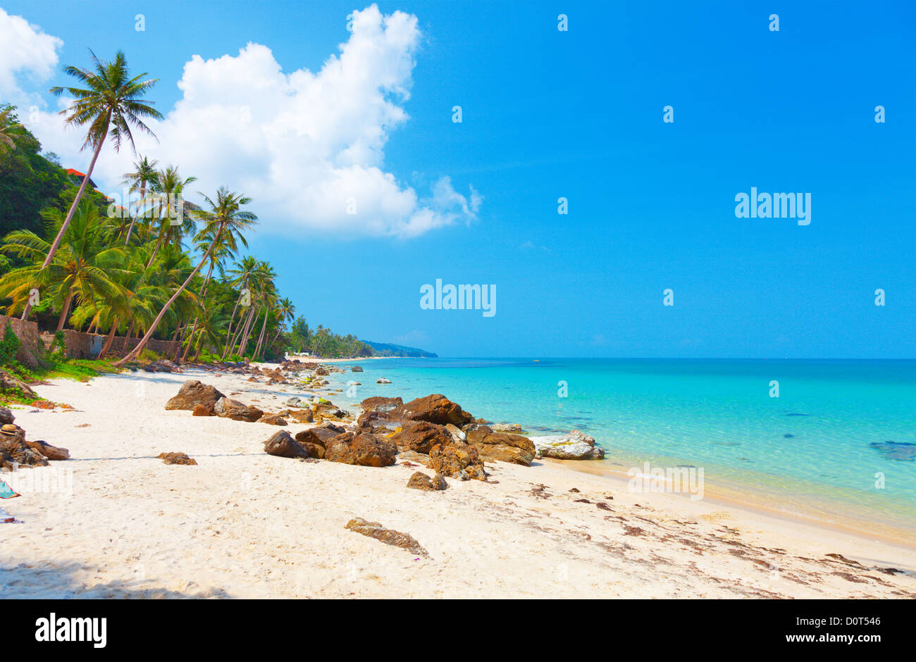 beach and tropical sea Stock Photo - Alamy