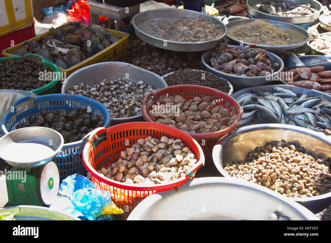 Seafood stalls in a market in Ho Chi Minh city,Vietnam Stock Photo - Alamy