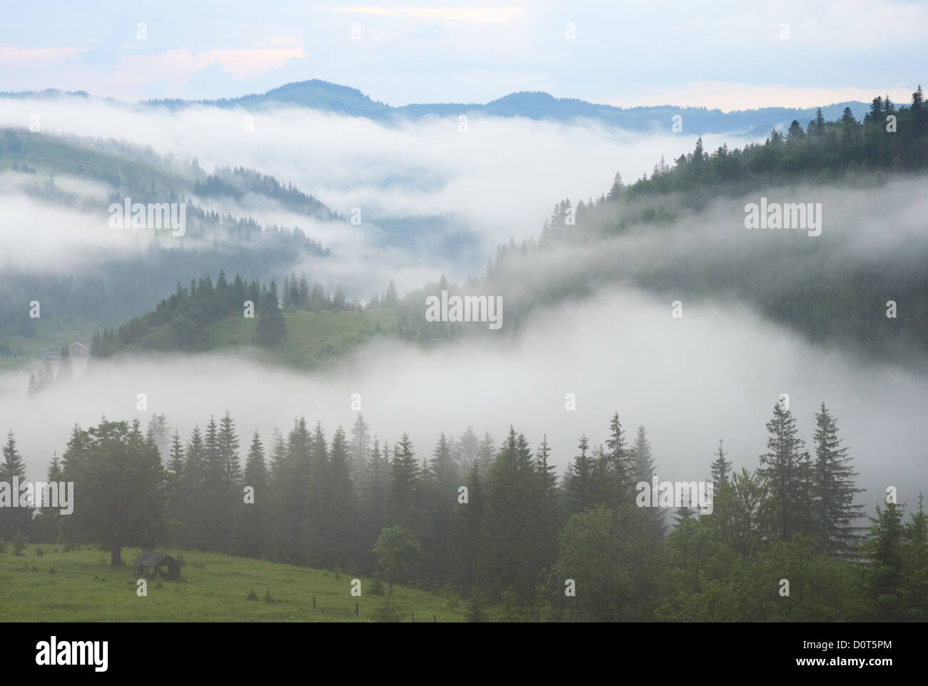 mist in mountain Stock Photo - Alamy