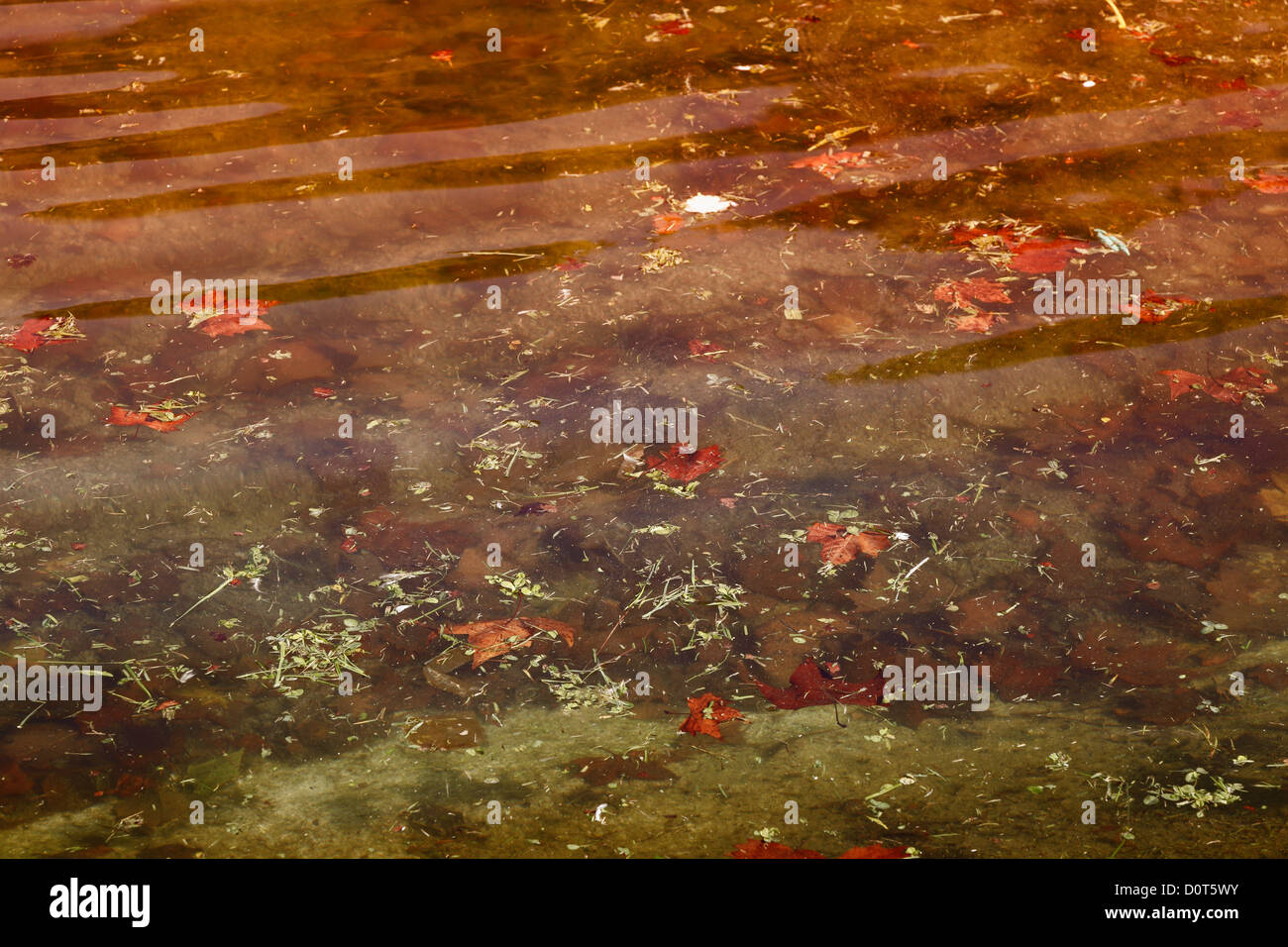 The timing of water, autumn Stock Photo - Alamy