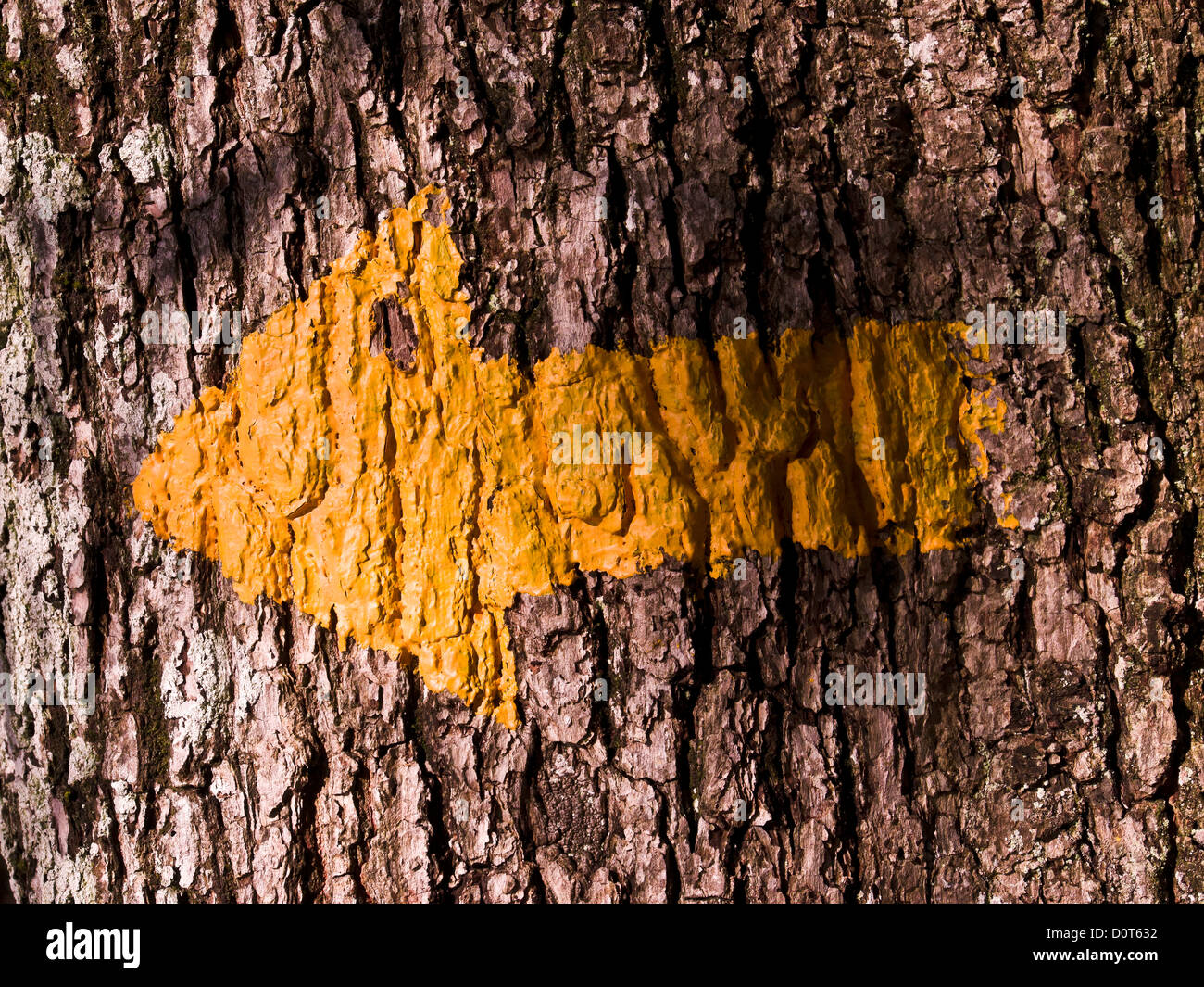 Mark tree hi-res stock photography and images - Alamy