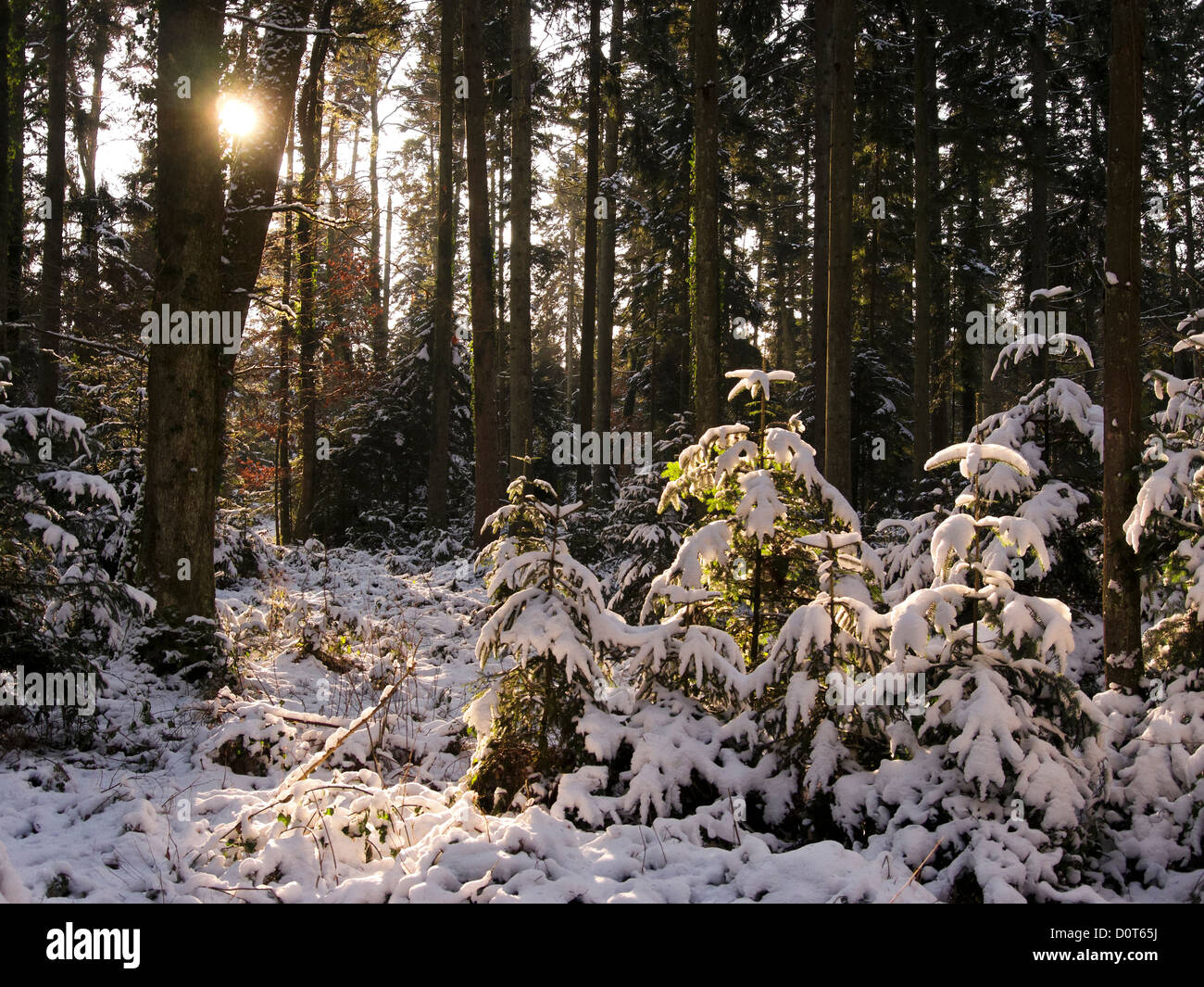Bern switzerland snow hi-res stock photography and images - Alamy