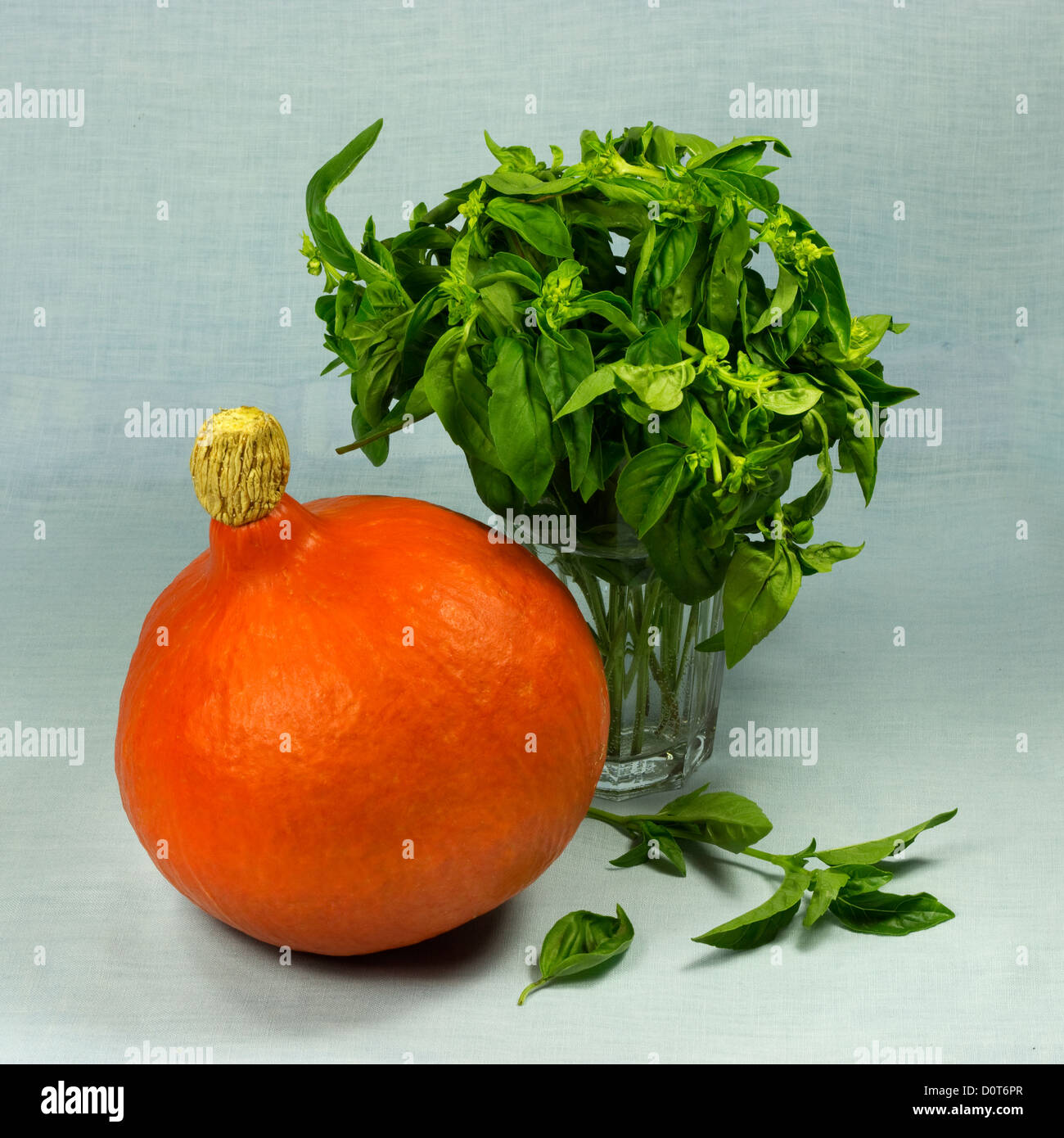 Still life of pumpkin, basil on a colorful fabric background Stock ...