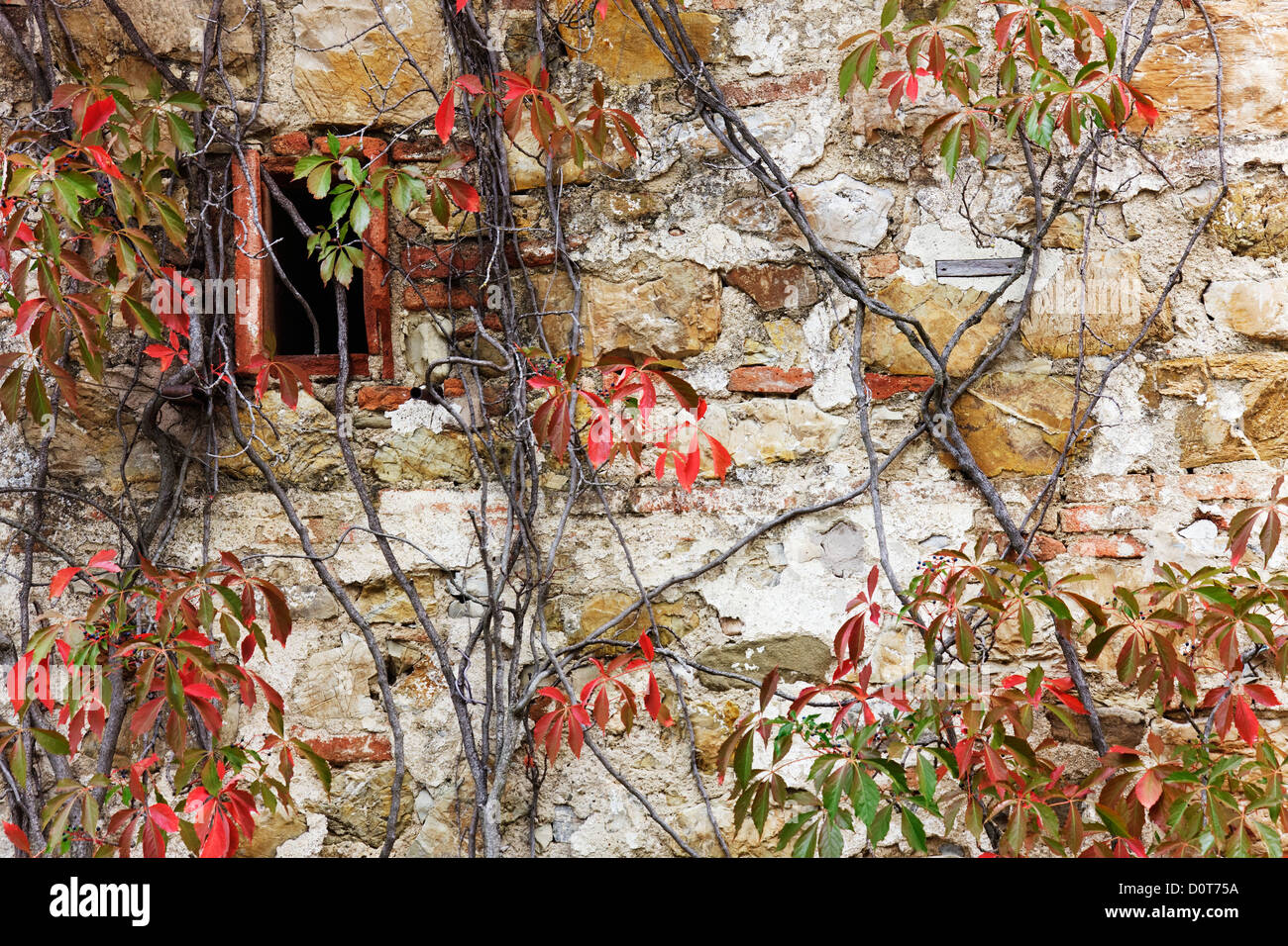 architectural detail architecture autumn brick bricks building ...