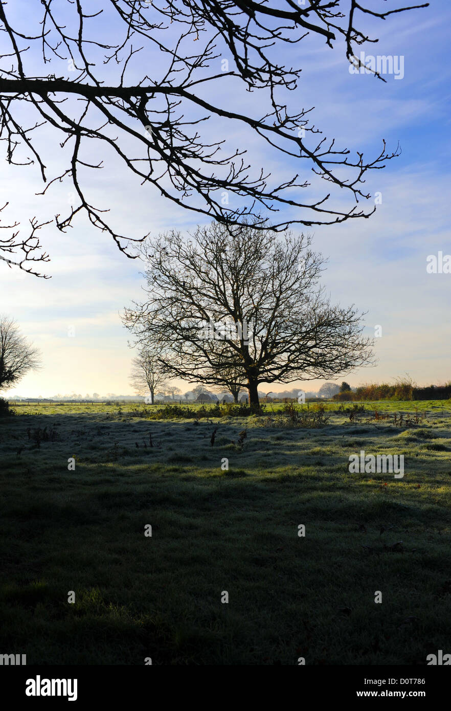 Eastergate sussex hi-res stock photography and images - Alamy
