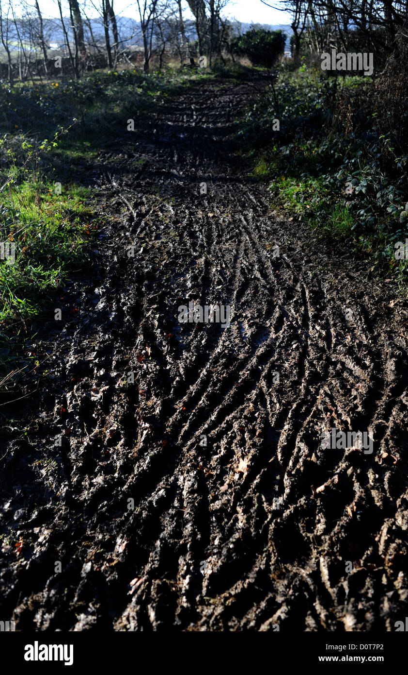 Well cycle path hi-res stock photography and images - Alamy