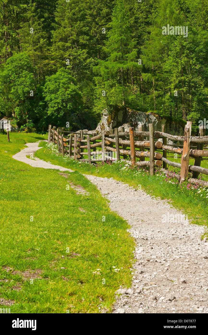 Germany, Bavaria, Berchtesgaden country, way, ways, hiking, walk, go ...