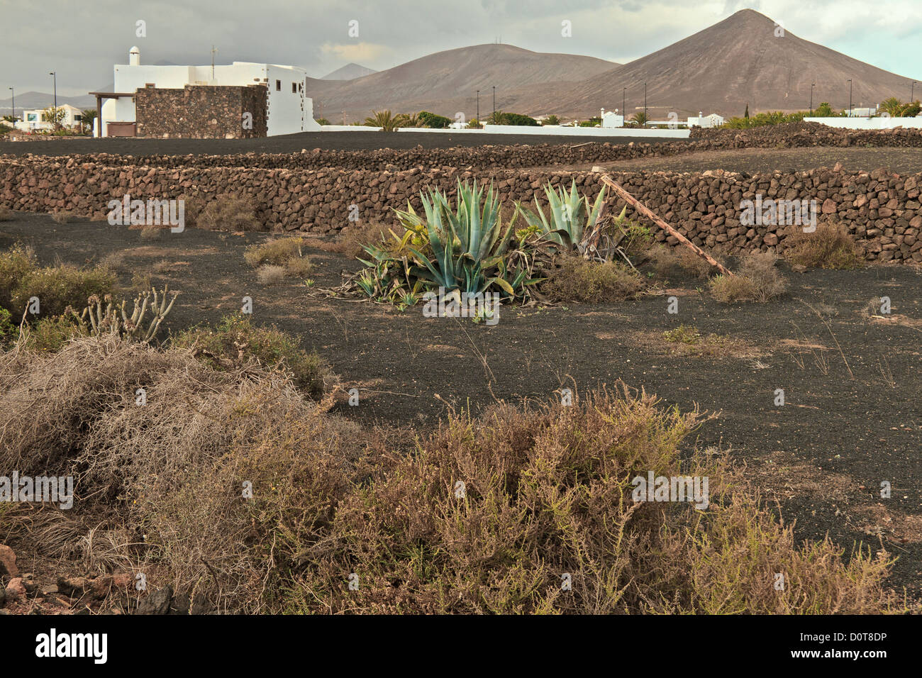 Tahiche hi-res stock photography and images - Alamy