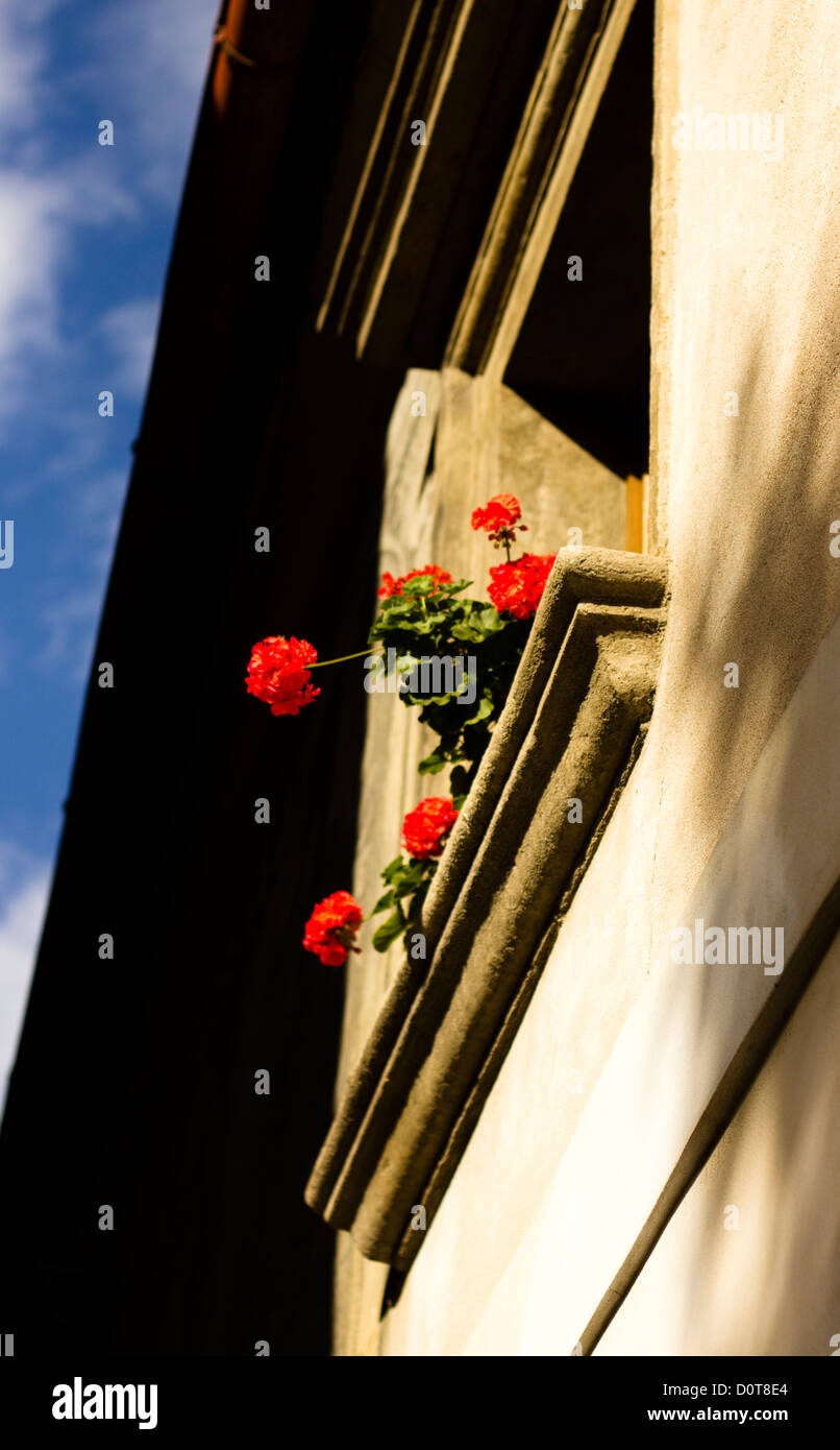 View of an old european window with flowers Stock Photo - Alamy