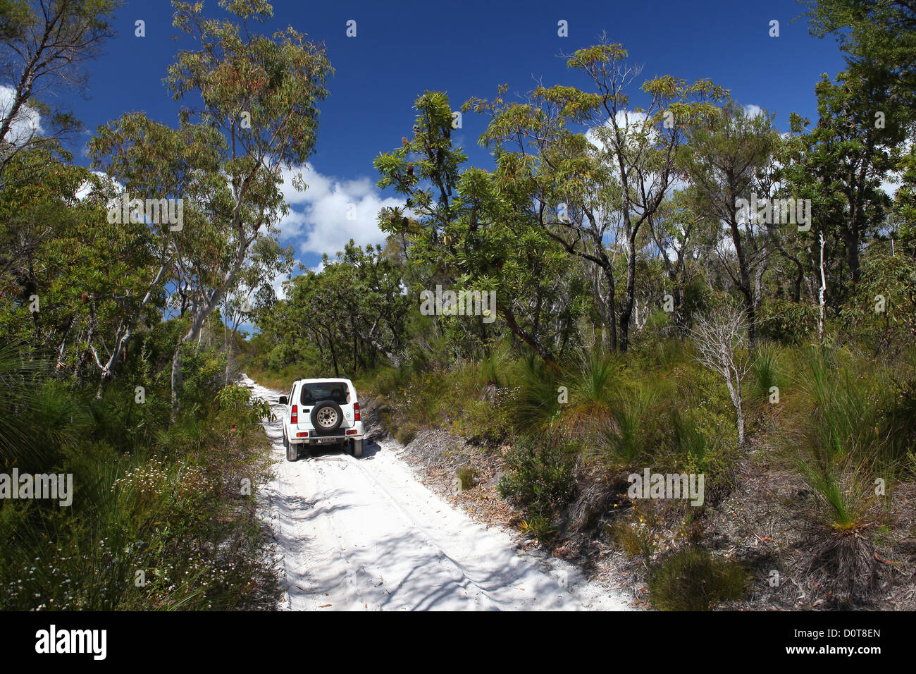 Sand, runway, Fraser Island, Queensland, Australia, tourism, attraction ...