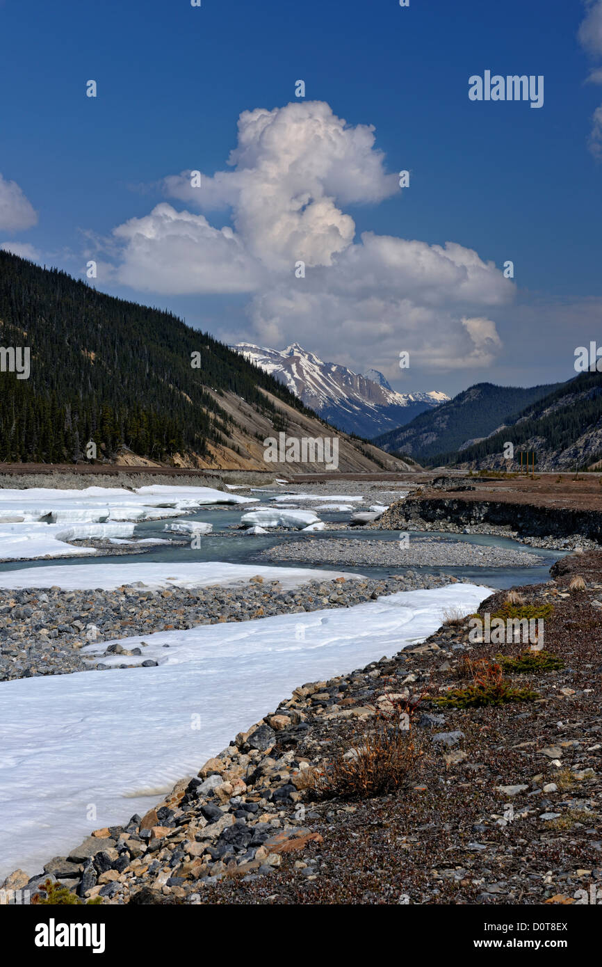 Sunwapta River Valley, Jasper National Park, Alberta, Canada Stock ...