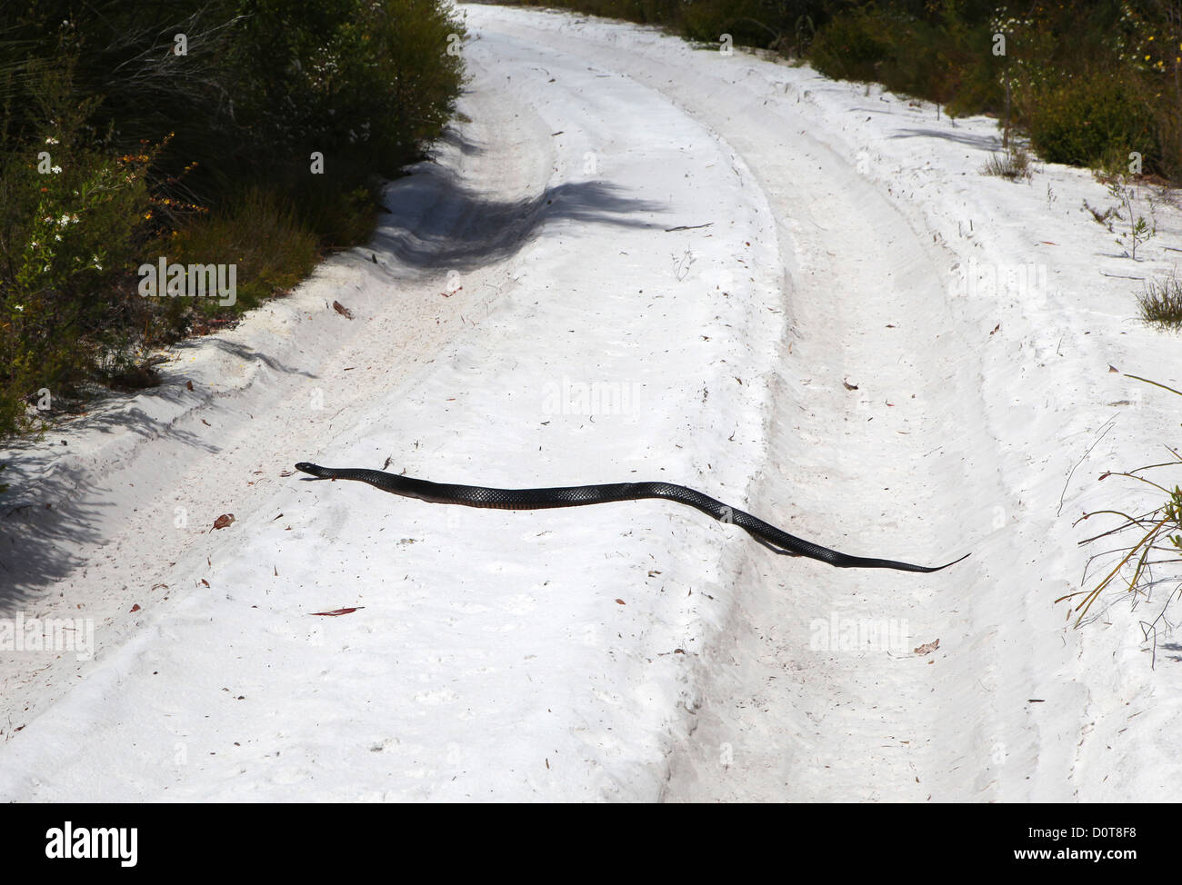 Sand, runway, Fraser Island, Queensland, Australia, tourism, attraction ...