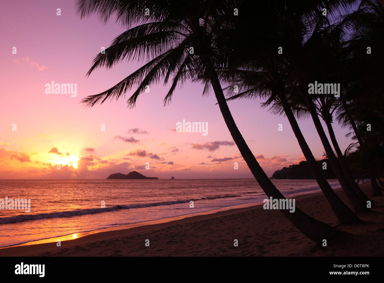 Ellis Beach, tropics, Beach, seashore, coast, palms, camping site, sea ... Ellis Beach, tropics, Beach, seashore, coast, palms, camping site, sea ...
