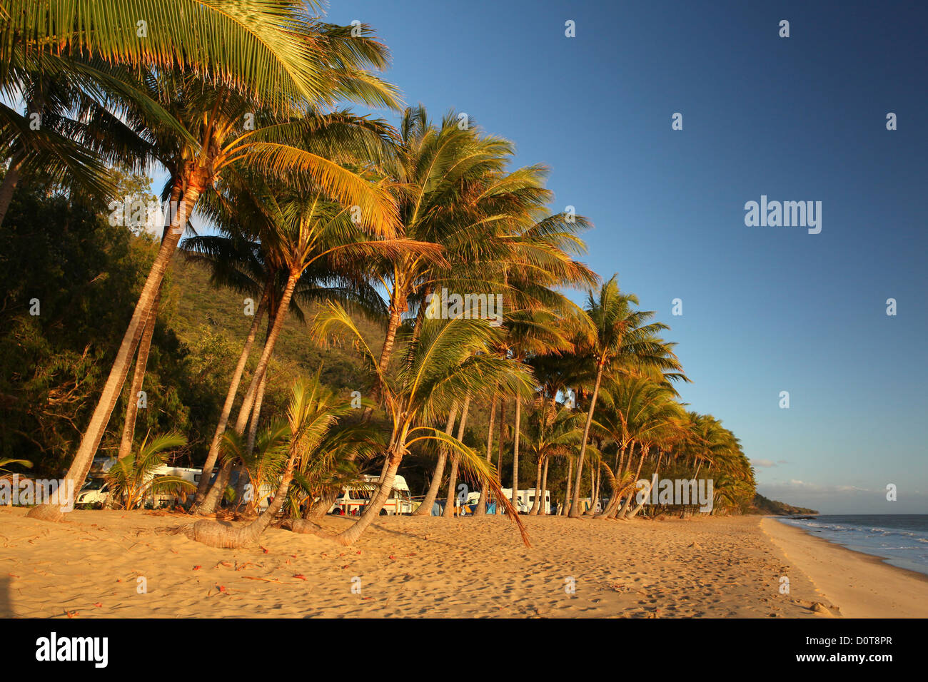 Ellis Beach, tropics, Beach, seashore, coast, palms, camping site, sea ...